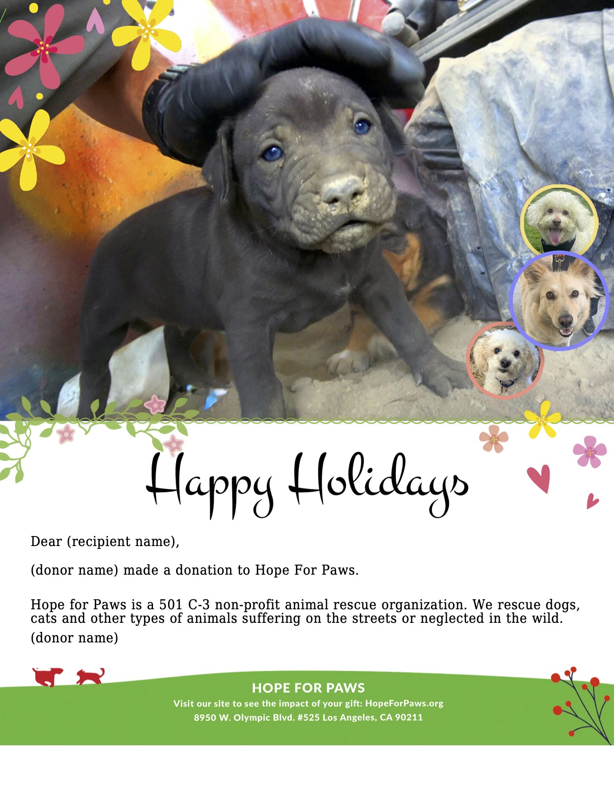 Hope For Paws